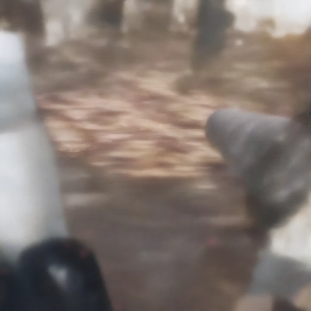 Mastering Your Apartment Rent Budget: A Guide